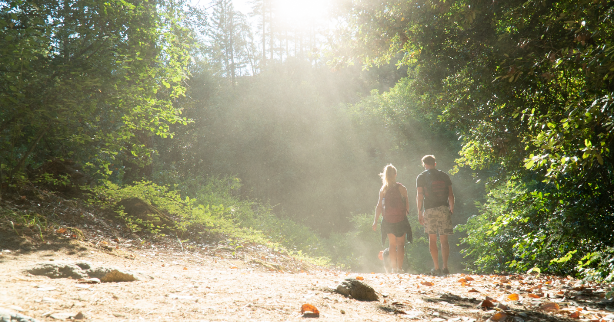 7 Gorgeous Day Hikes Around Redding, California 7 Gorgeous Day Hikes Around Redding, California